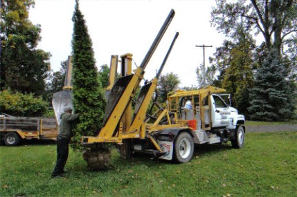 Tree Movers | Tree Transplant | Tree Removal | Tree Sales